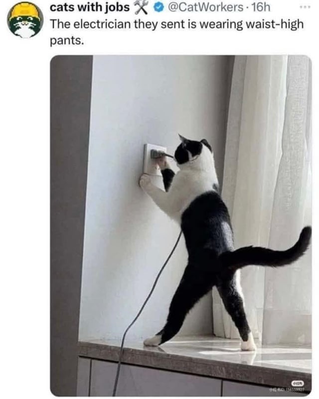 The best Pants memes :) Memedroid