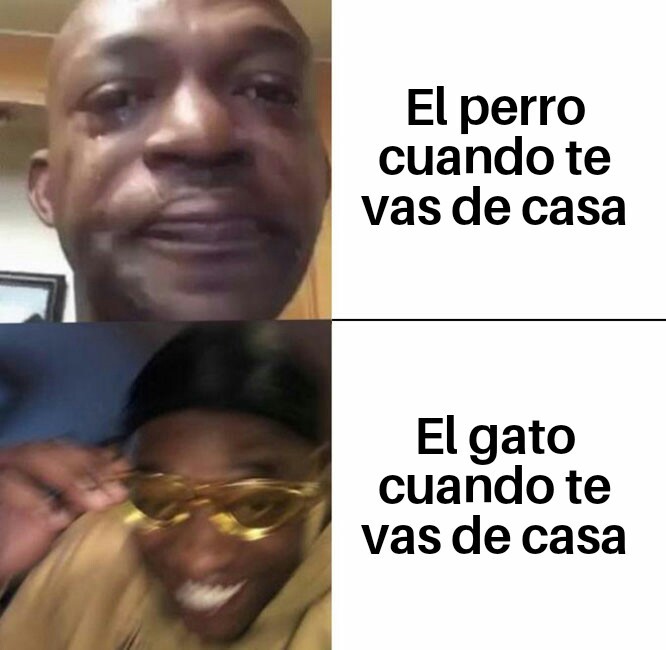 Creo que todos estamos de acuerdo - Meme by Giliman :) Memedroid