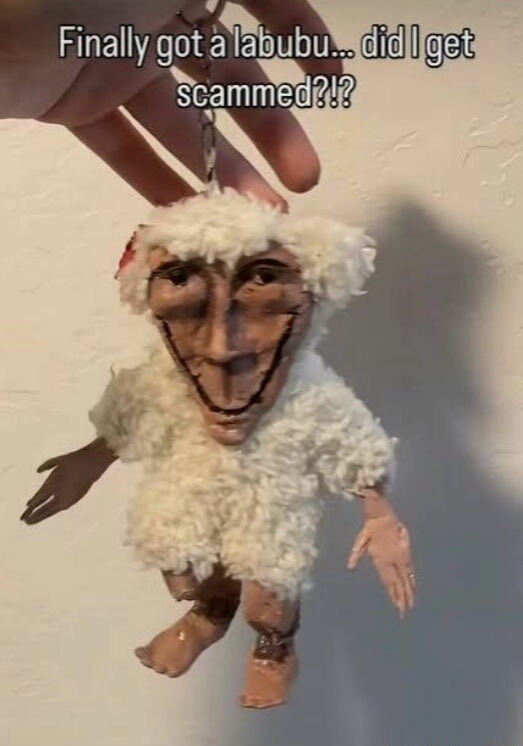 The best Labubu memes :) Memedroid