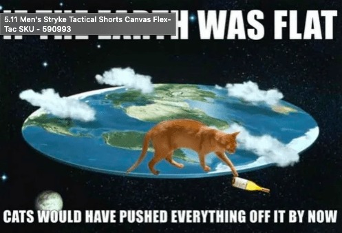 the world is flat - Meme by memelord713 :) Memedroid