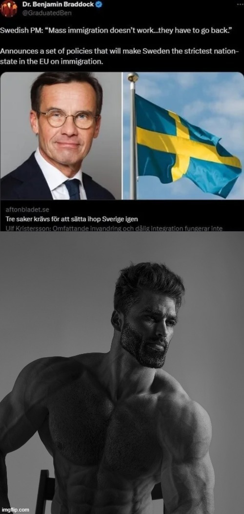 The best Sweden memes :) Memedroid