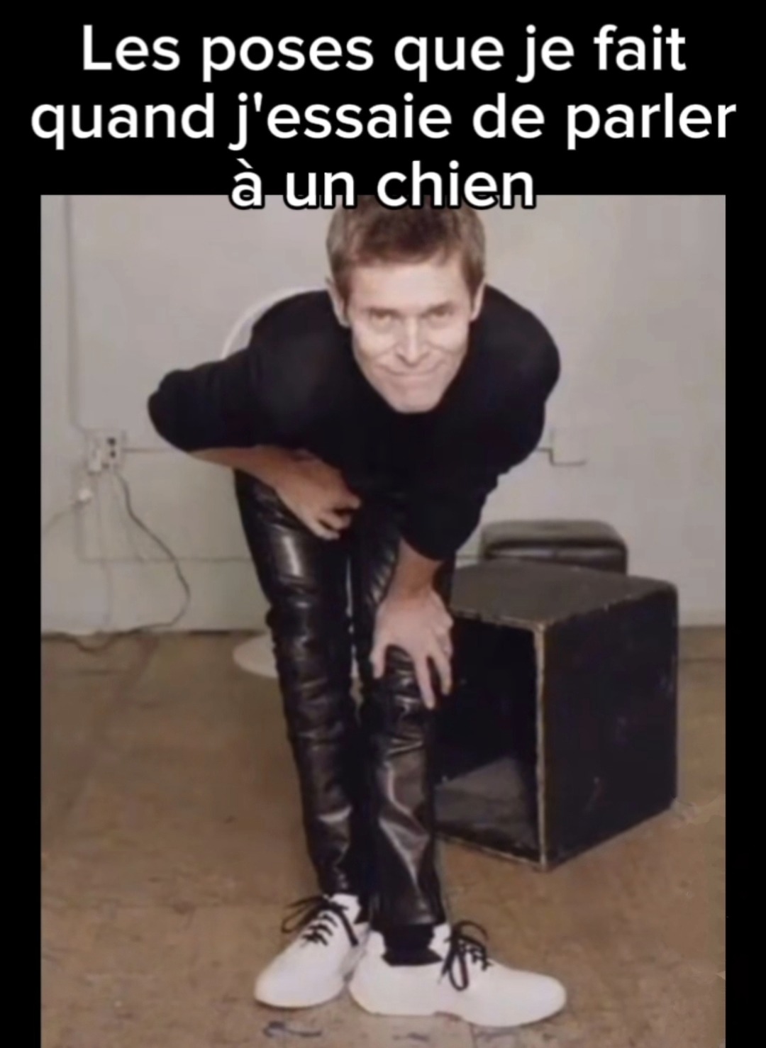 Les meilleurs mèmes Chien :) Memedroid