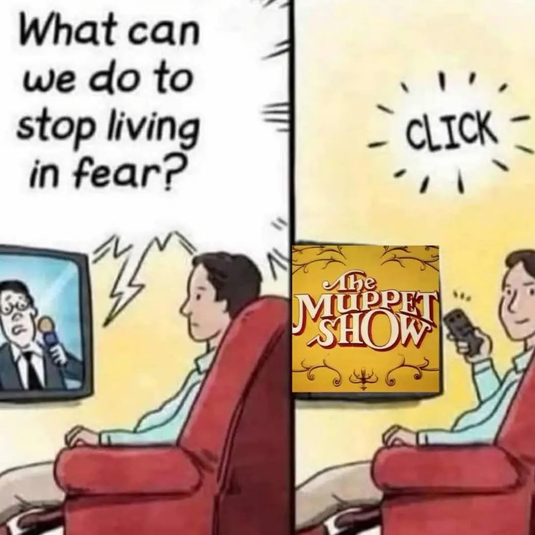 The best The Muppet Show memes :) Memedroid