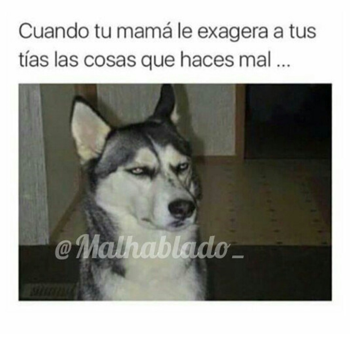 Lo único que quieren es ver arder el mundo ;-; - Meme subido por Elilol ...