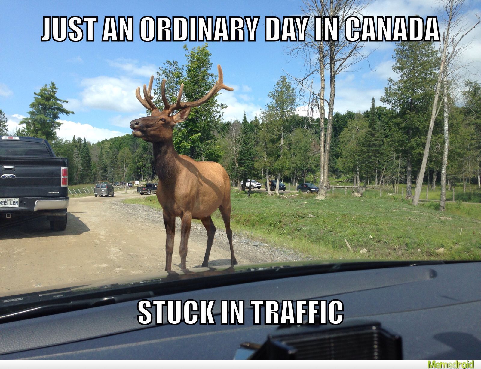 Eh? - Meme by thereal007 :) Memedroid