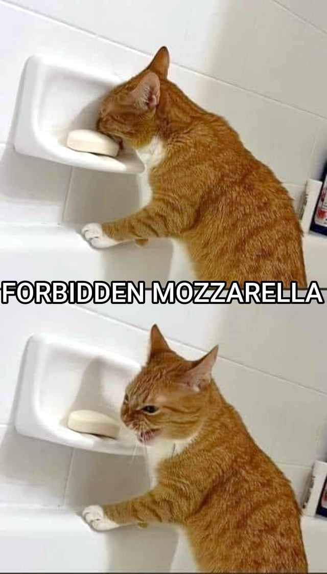 The best Mozzarella memes :) Memedroid