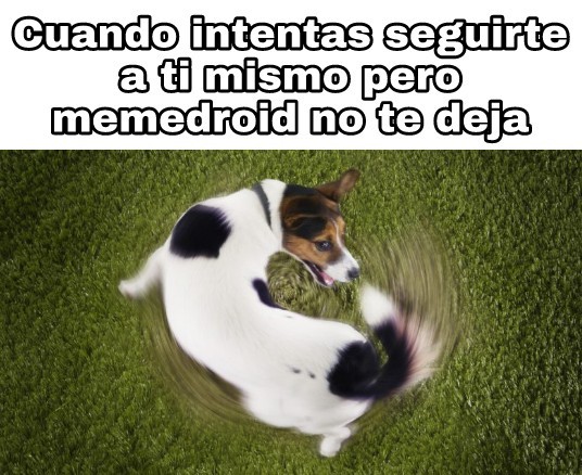 Metáfora - Meme subido por Hatsune_Miku_01 :) Memedroid