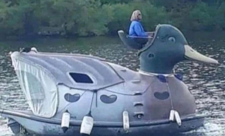 Ducking around - Meme by kbrown4432 :) Memedroid