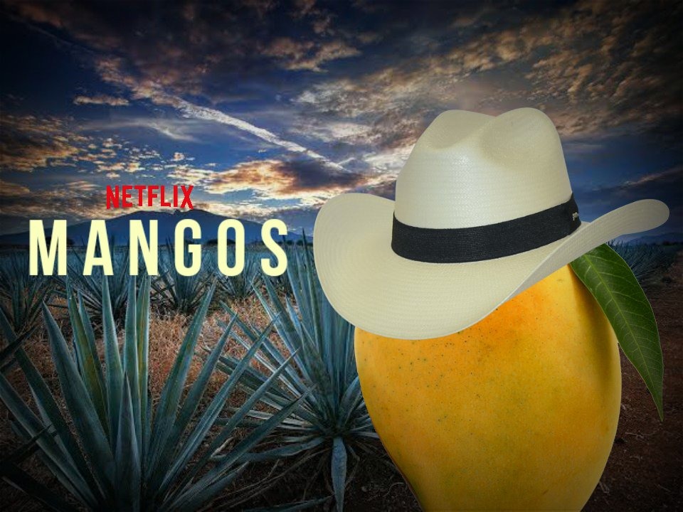 Top memes de Narcos en español :) Memedroid