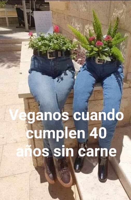 XL - Meme subido por Tercero_3 :) Memedroid