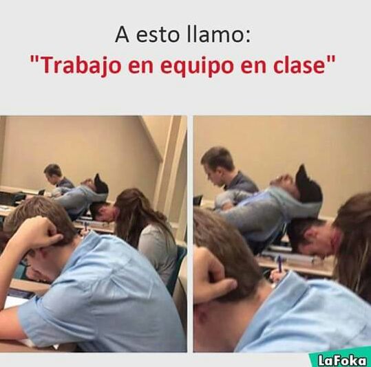 Memes Del Trabajo En Equipo