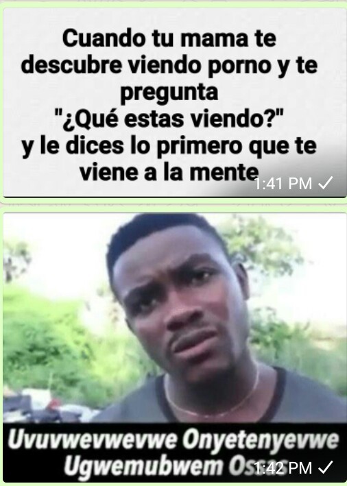 Top memes de Ossas en español :) Memedroid