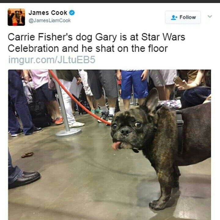 Wee, Gaz - Meme by blue-cheese :) Memedroid