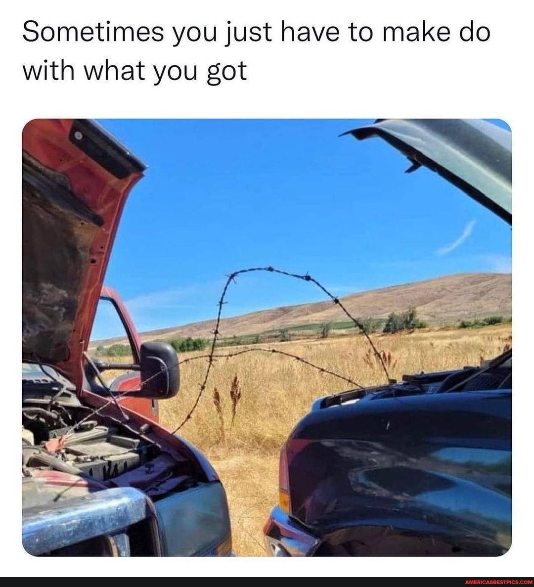 Title - Meme by Grumpasaurus :) Memedroid