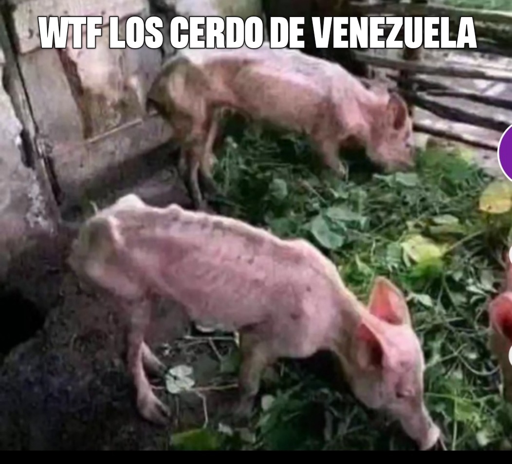 Familia hoy se come poco - Meme subido por Cristopherelprolazo :) Memedroid