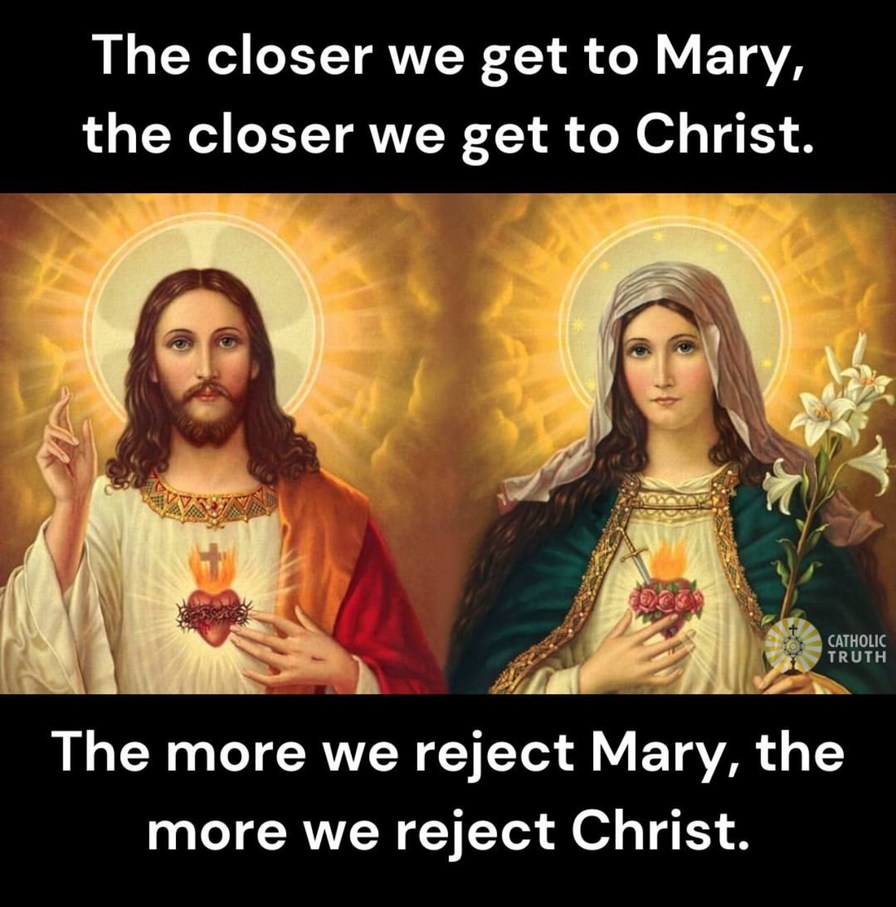 Latest memes / New memes :) Memedroid