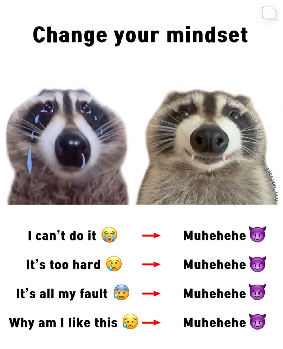 Latest memes / New memes :) Memedroid