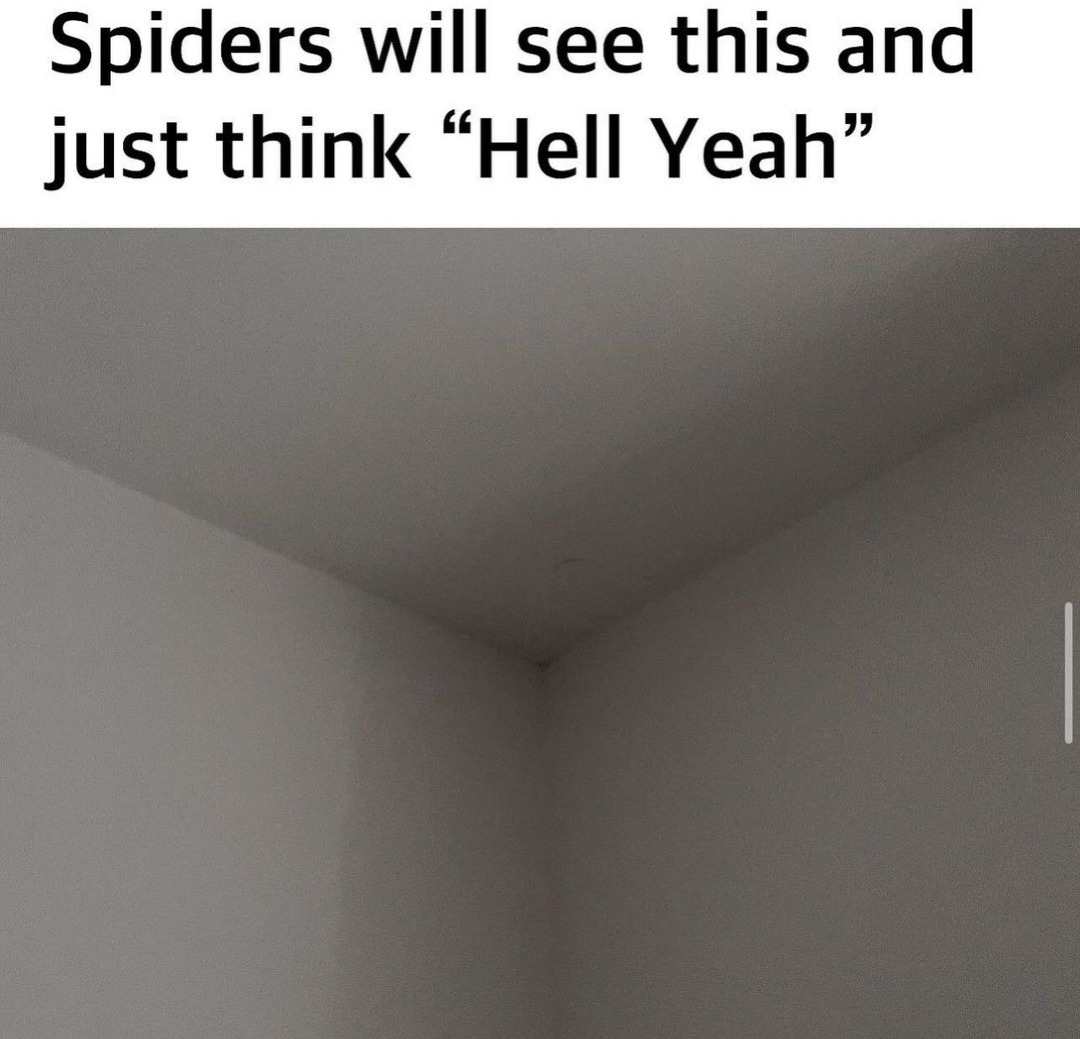 The Latest Memes :) Memedroid