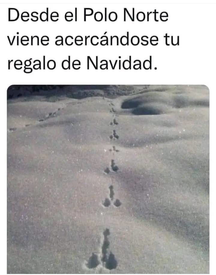 Desde el polo norte llega tu regalo de Navidad - Meme by Rudysmith :) Memedroid