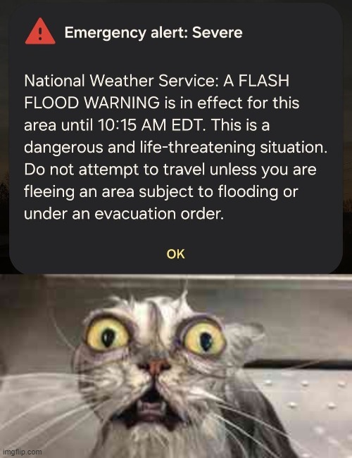 Flood Warning Memes Flood Memes And Images Imgur