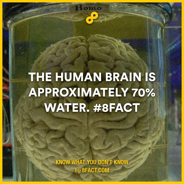 fascinating........ - Meme by ahadsy5 :) Memedroid