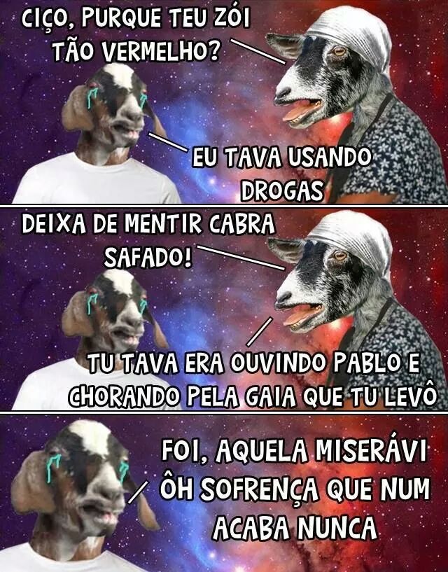 Oh mulé ruim - Meme by GORDOZOEIRO :) Memedroid