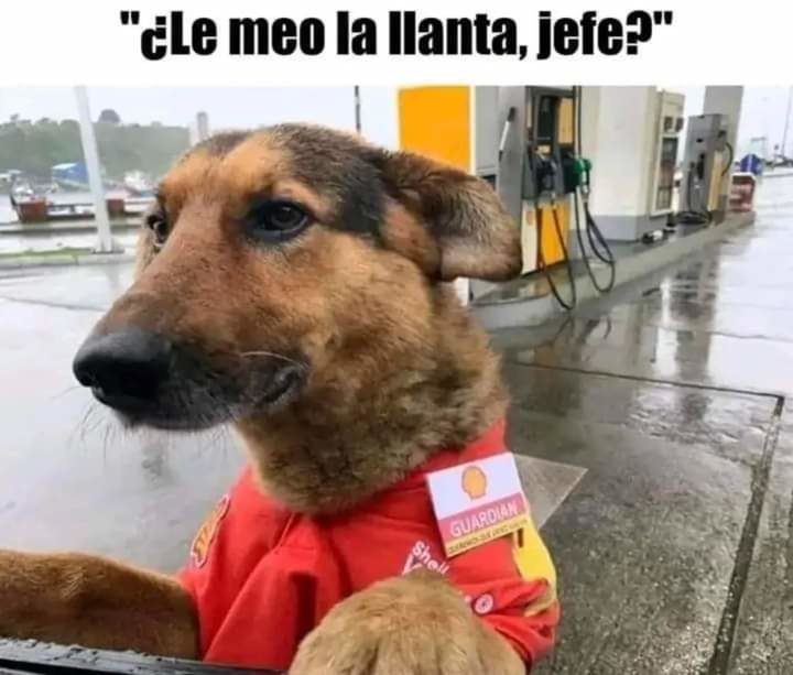 Hajs - Meme subido por Urywaz :) Memedroid