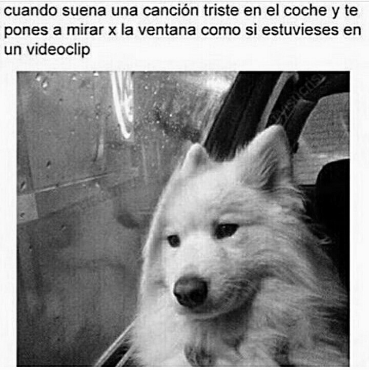 Why not? - Meme by PolloFrito24y7 :) Memedroid