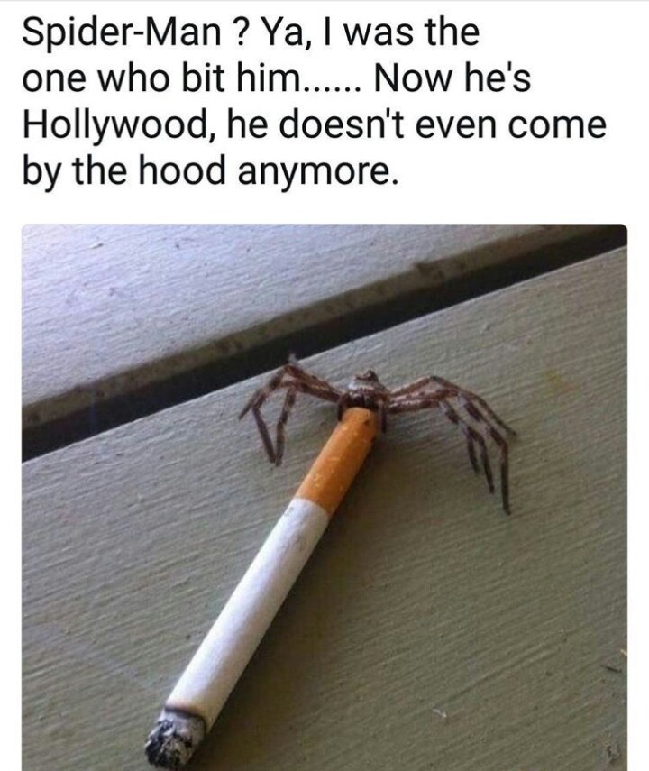 Spiderman Homecoming Memes