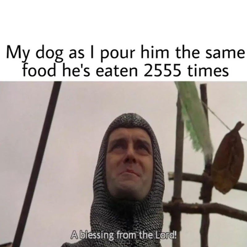 Praise - Meme by Scoots291 :) Memedroid