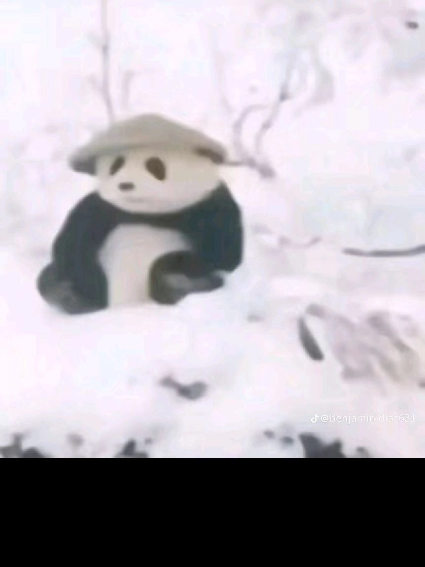 Los Últimos Memes :) Memedroid