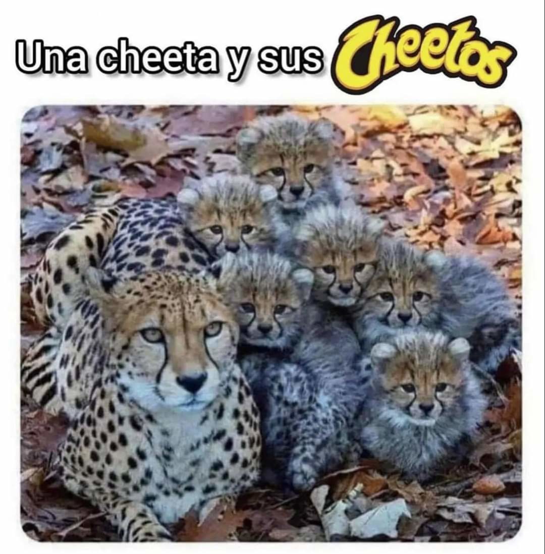 Top memes de Chetos en español :) Memedroid