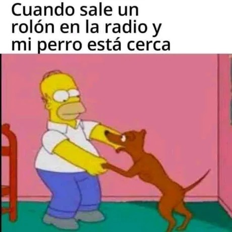 Memes perros - Meme subido por camiiff99 :) Memedroid