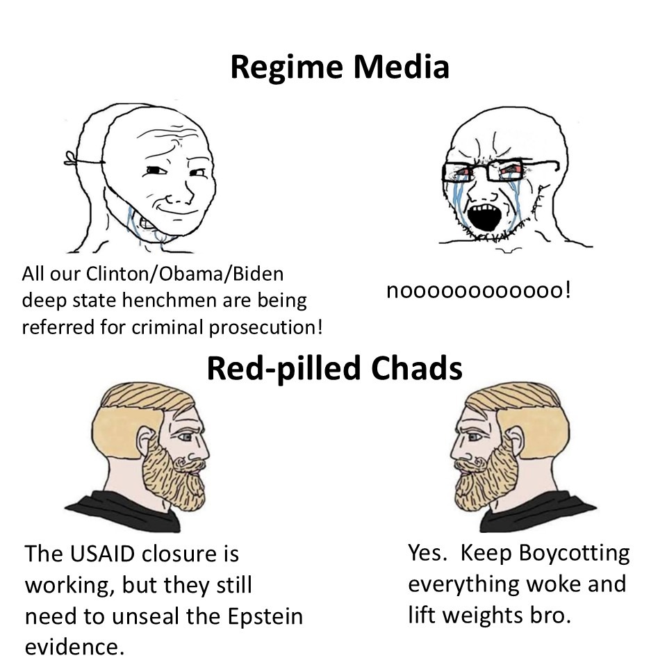 The Best Chad Memes - Memedroid