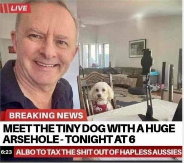 Latest memes / New memes :) Memedroid