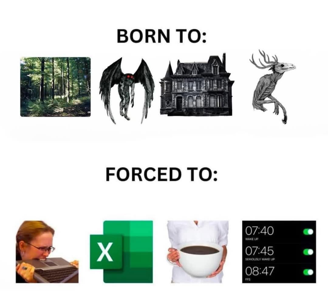 The best Cryptozoology memes :) Memedroid