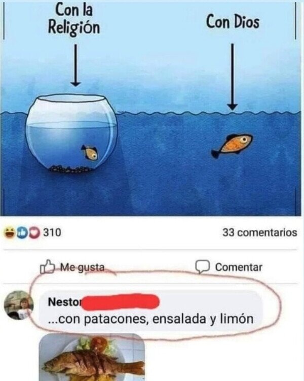 Top memes de Pescado en español :) Memedroid