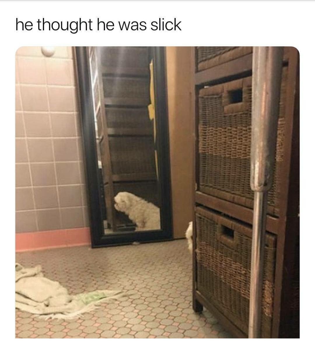 Sneak 12 - Meme by koushichamp :) Memedroid