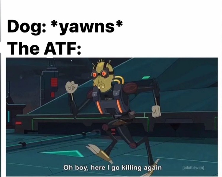 Atf out here tryna get skins - Meme subido por Username_Redacted ...