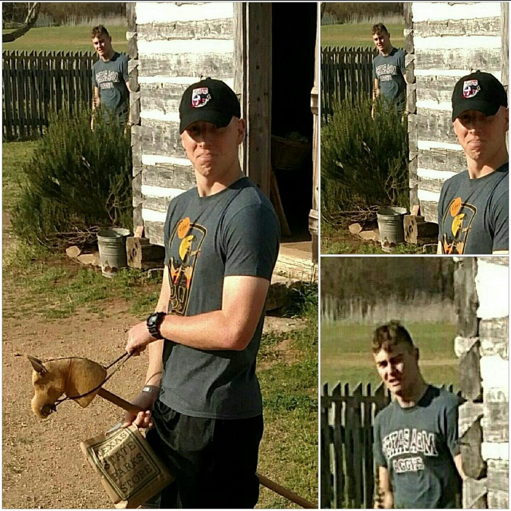 That's a nice stick.........horse - Meme by Huppmaster :) Memedroid