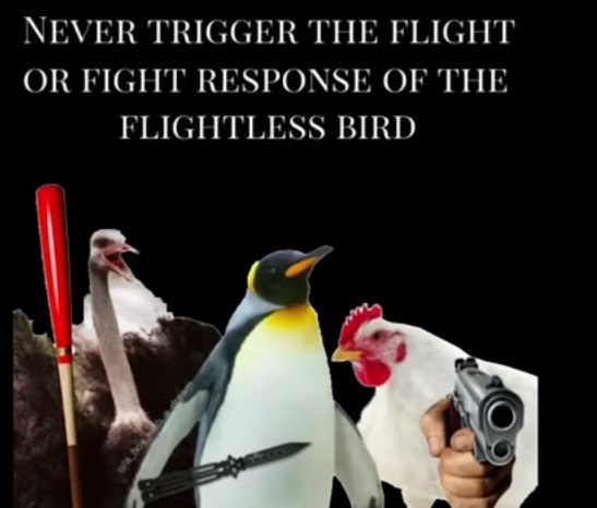 The best Flight memes :) Memedroid