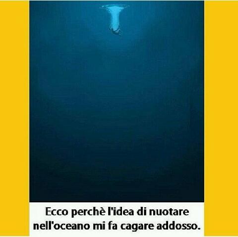 meglio la piscina - Meme subido por matti08 :) Memedroid