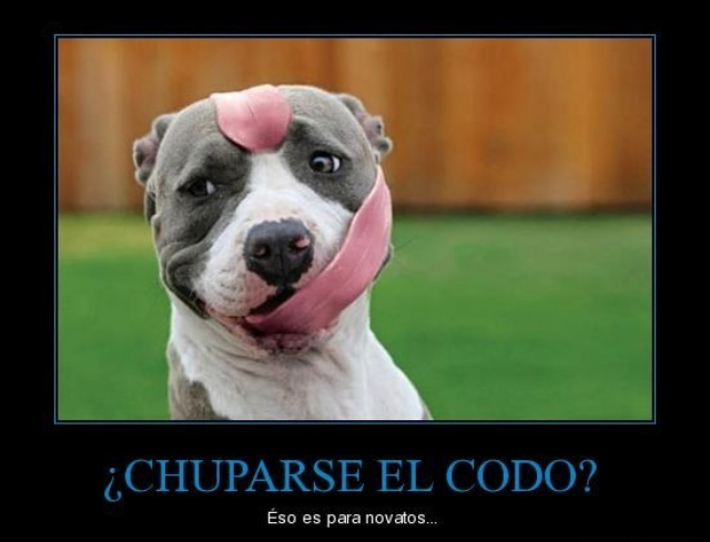 Novatos - Meme subido por RachasESP :) Memedroid