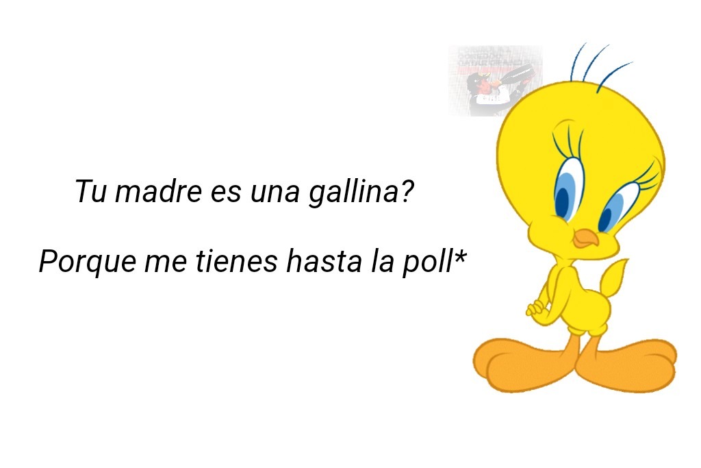 Piolín - Meme subido por Dogamer :) Memedroid