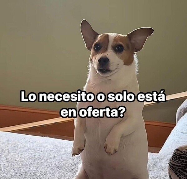 Top memes de Ofertas en español :) Memedroid
