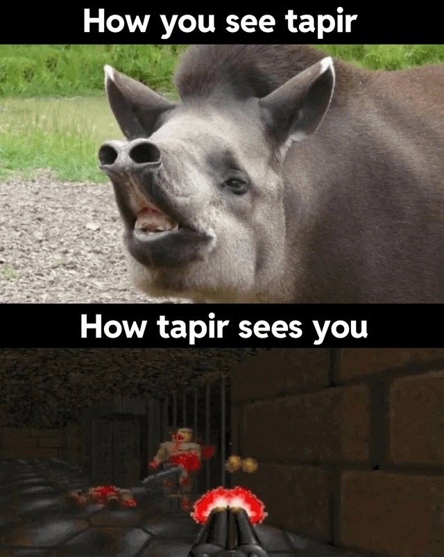 The best Perspective memes :) Memedroid