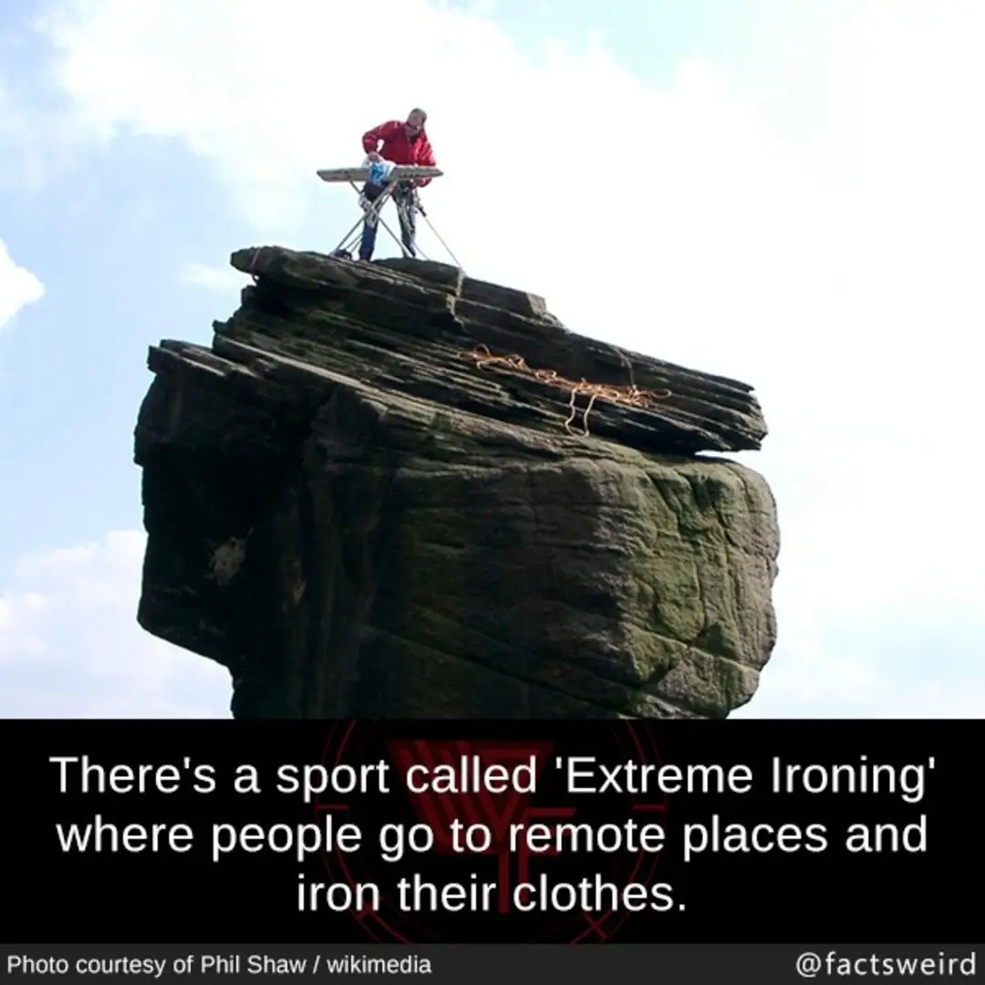 Good sport - Meme by ahadsy5 :) Memedroid