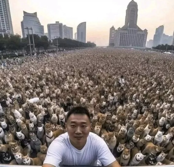 selfie com os cria - Meme by vitin :) Memedroid