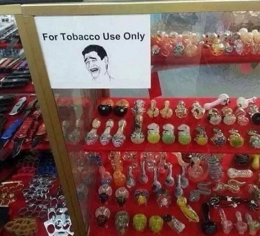 Memedroid - The best site to see, rate and share funny memes and pics!