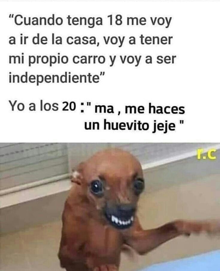 Mi vida be like - Meme subido por dabcret :) Memedroid